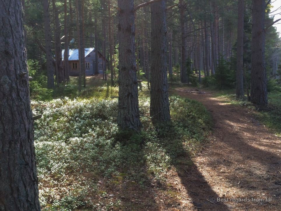 Serenity & Solitude: 10 stuga cabins to check out along the Swedish ...