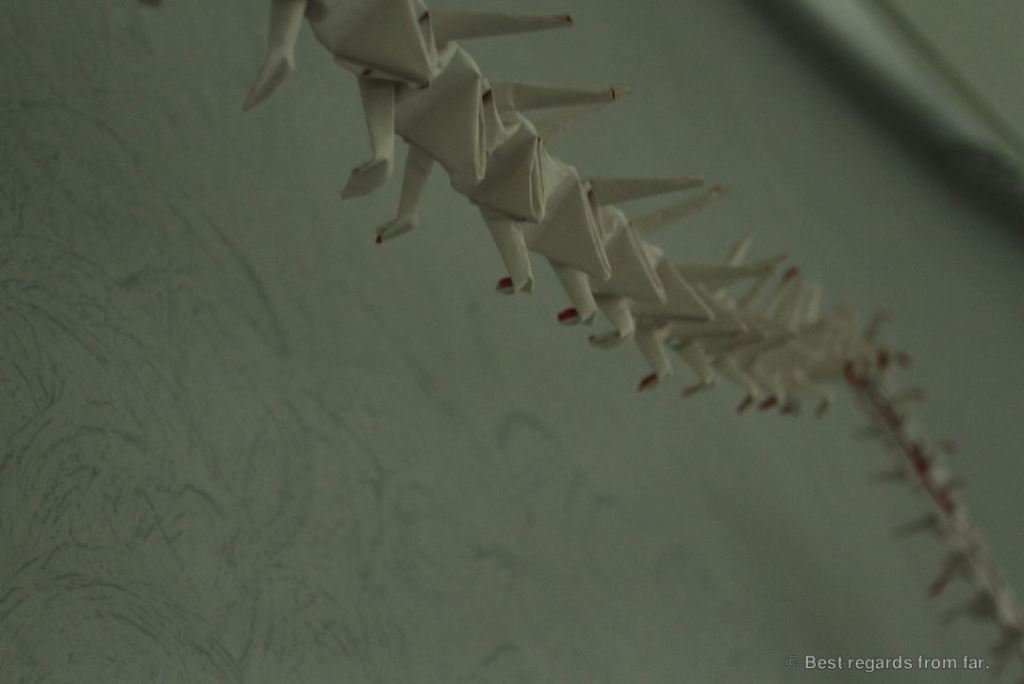 Commemorating the dropping of the atomic bombs in Japan [Hiroshima ...