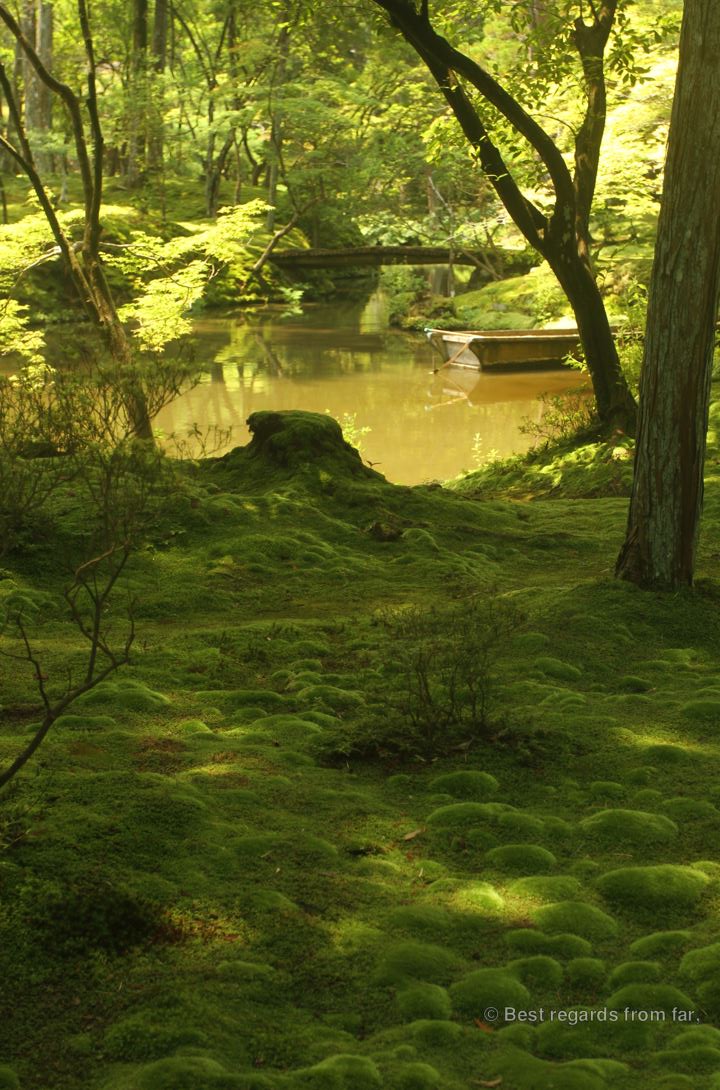 The Magic of Koke-dera, the Temple of Moss [Kyoto] – Best regards from far,