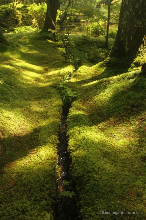 The Magic of Koke-dera, the Temple of Moss [Kyoto] – Best regards from far,