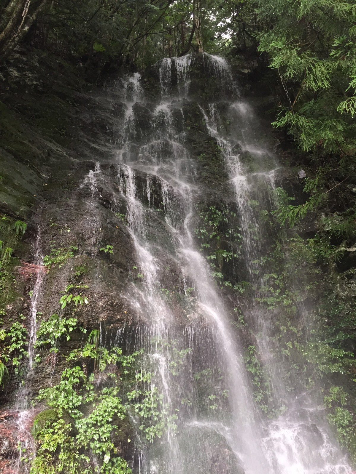 Road Trip on the Island of Shikoku – Best regards from far,