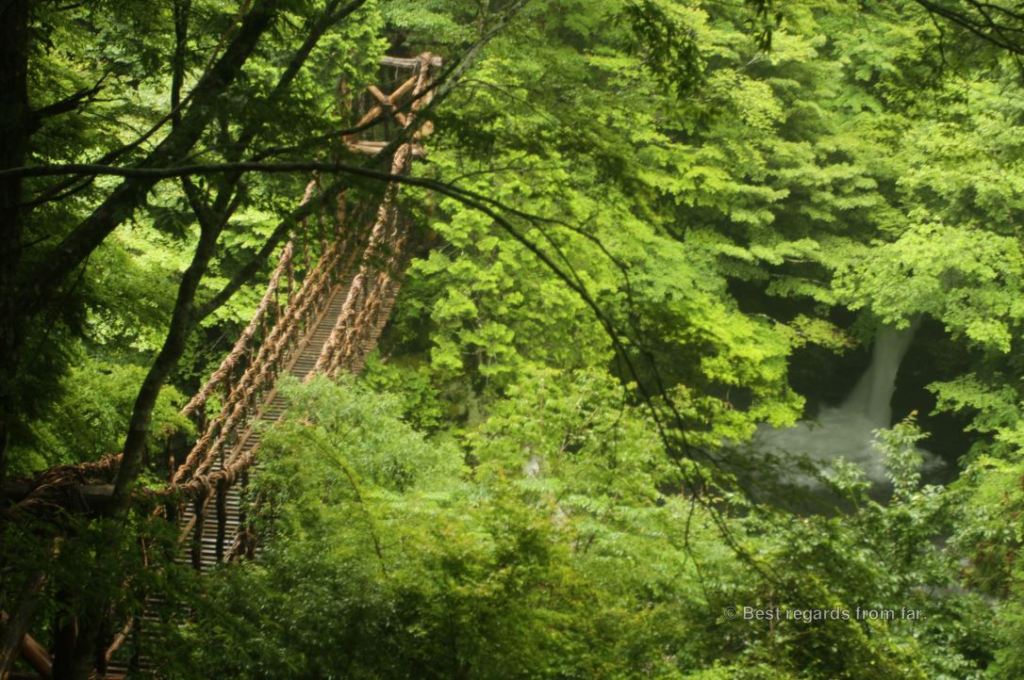 Thrilling River Crossing: Vine Bridges of Shikoku – Best regards from far,