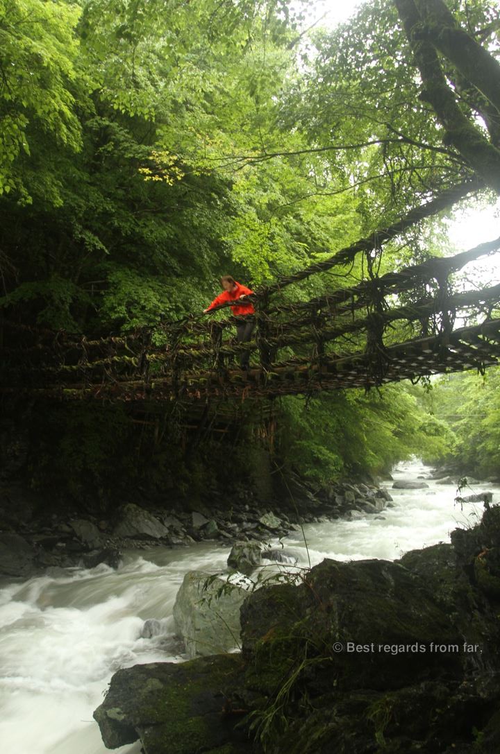 Thrilling River Crossing: Vine Bridges of Shikoku – Best regards from far,