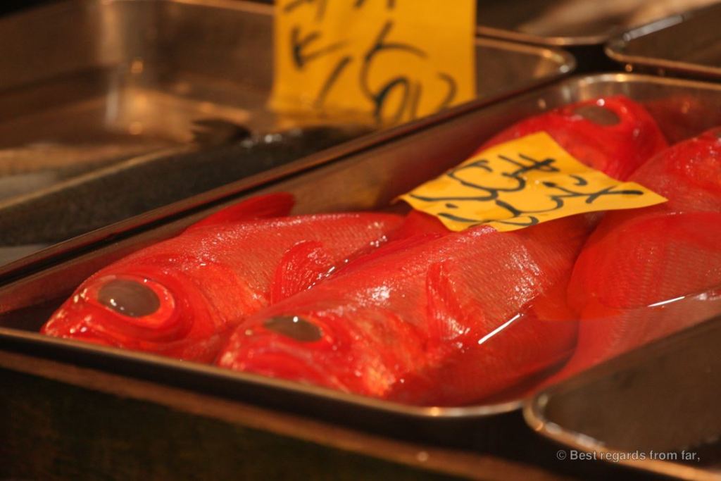 Tsukiji Fish Market and Tuna Auction [Tokyo] – Best regards from far,