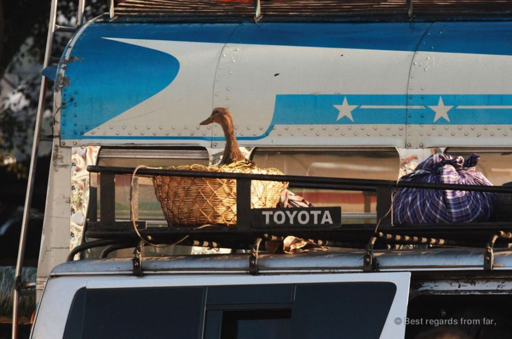 Chicken buses of Guatemala – Best regards from far,