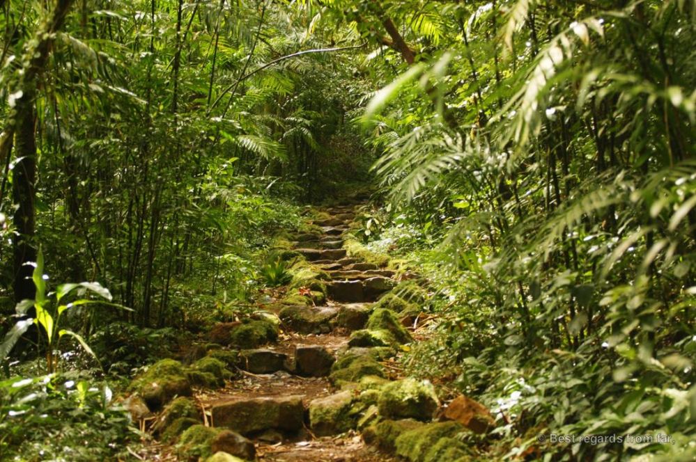 Hiking the cloud forest of the Mombacho volcano, Nicaragua – Best ...