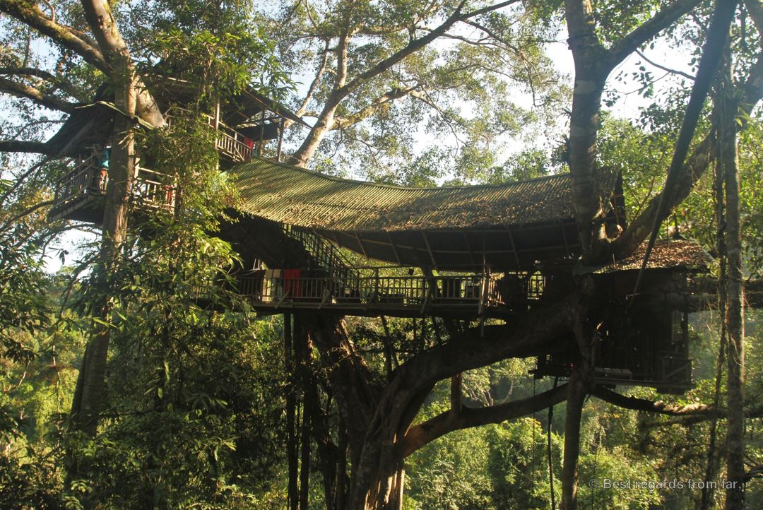 Zip-lining to save the gibbons, Laos – Best regards from far,