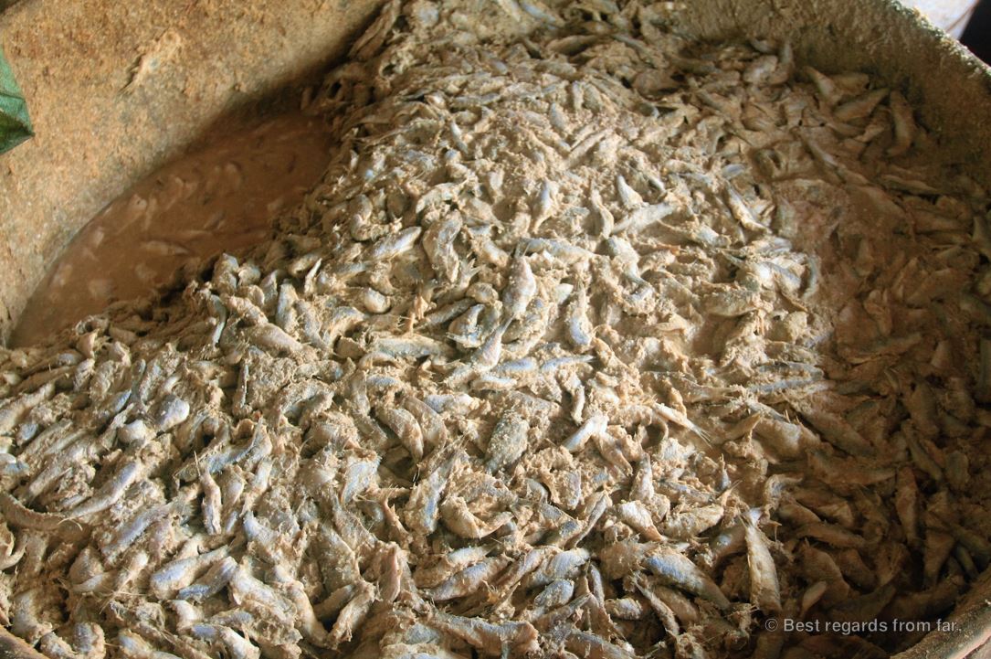 Traditional Crafts of Cambodia (5/7): Fish Paste – Best regards from far,