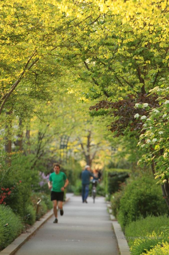 Top 3 Running Routes of Paris by a Local! – Best regards from far,