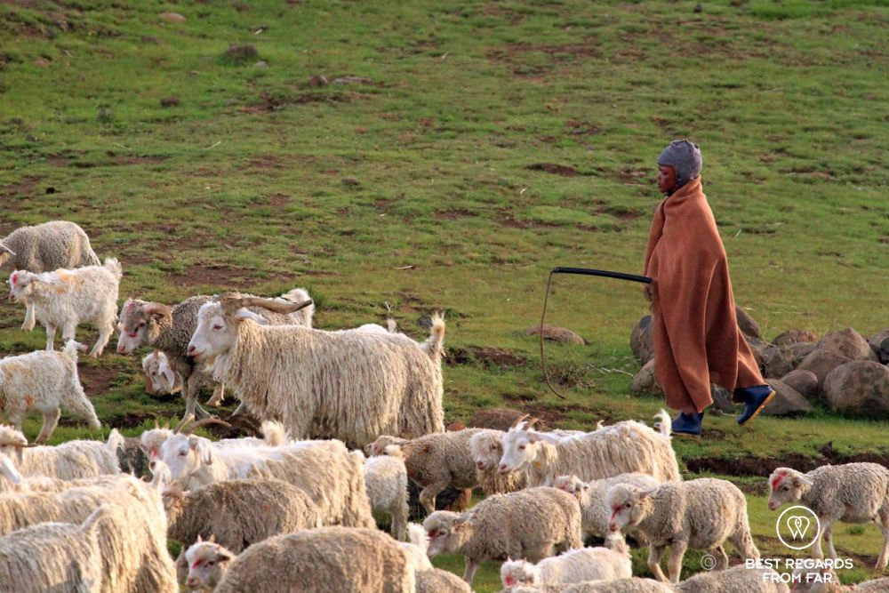 Horseback riding the kingdom of the sky, Lesotho – Best regards from far,