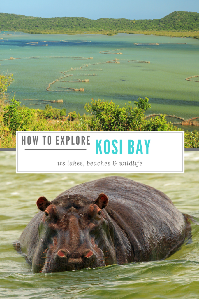 The best of Kosi Bay in 5 unique adventures – Best regards from far,
