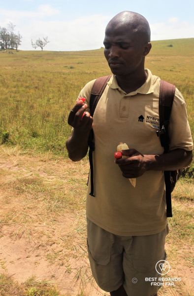 Wild Coast hiking, Pondoland, South Africa 27 – Best regards from far,
