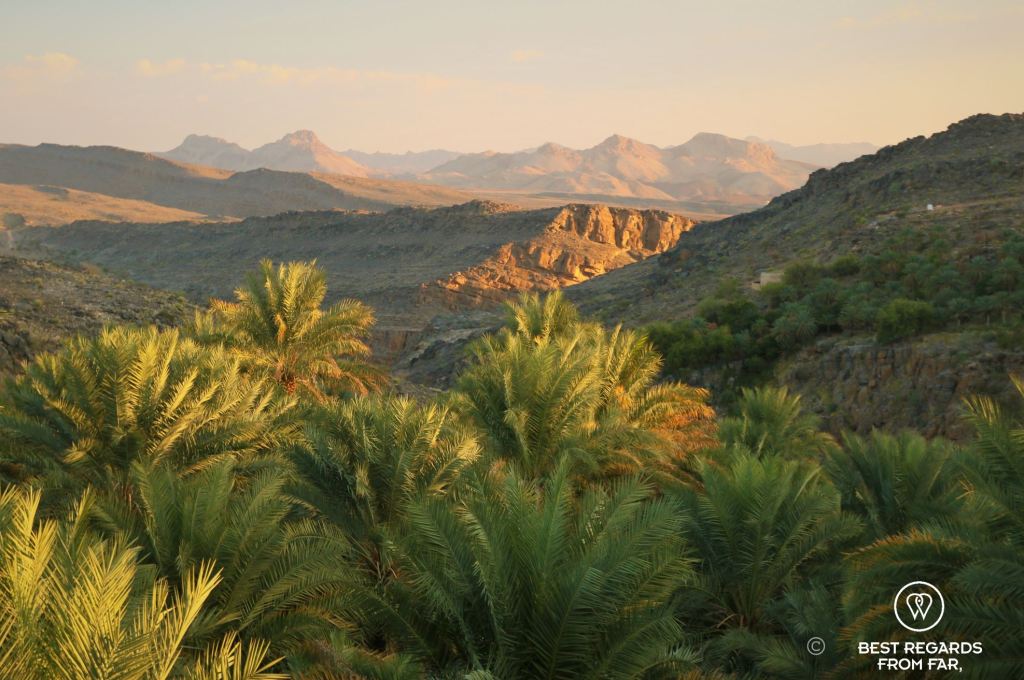 The falaj of Misfat, one of the most charming villages of Oman – Best ...