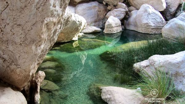 Cooling down in the wadis of Oman – Best regards from far,