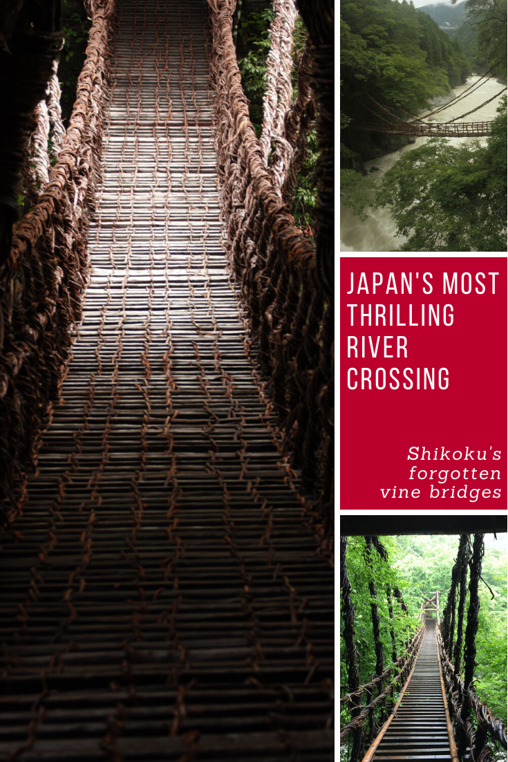 Thrilling River Crossing: Vine Bridges of Shikoku – Best regards from far,