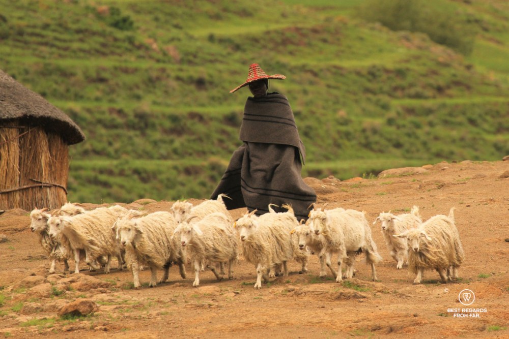 Exploring Eastern Lesotho – Best regards from far,