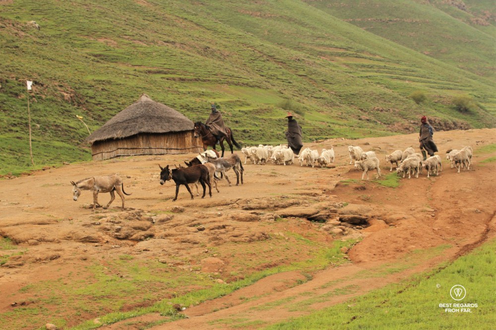 Exploring Eastern Lesotho – Best regards from far,