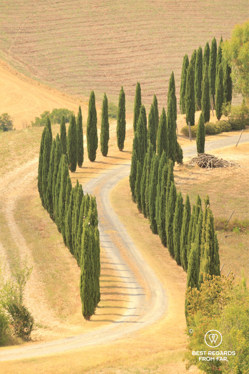 Your 1-day Vespa loop from Siena itinerary [Chianti, San Gimignano ...
