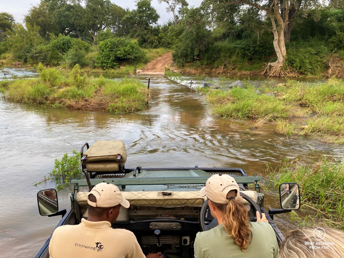 In the tracks of wildlife in Africa – Best regards from far,