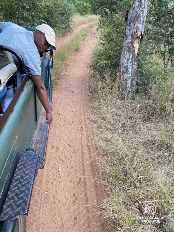 In the tracks of wildlife in Africa – Best regards from far,