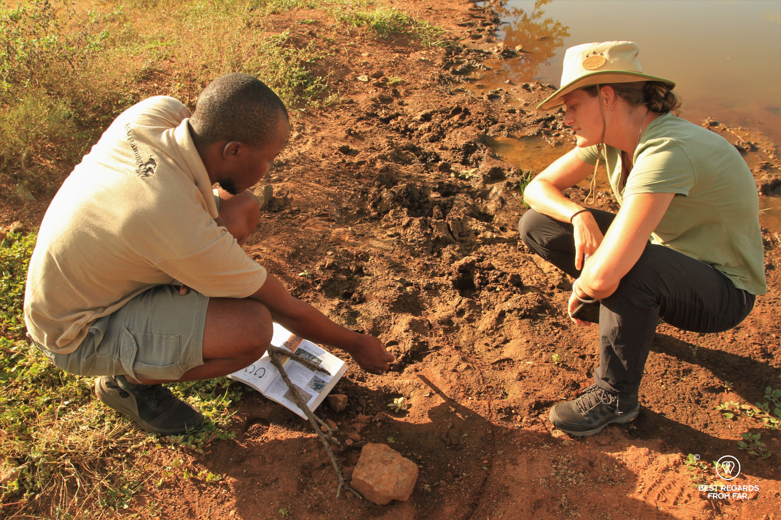 In the tracks of wildlife in Africa – Best regards from far,