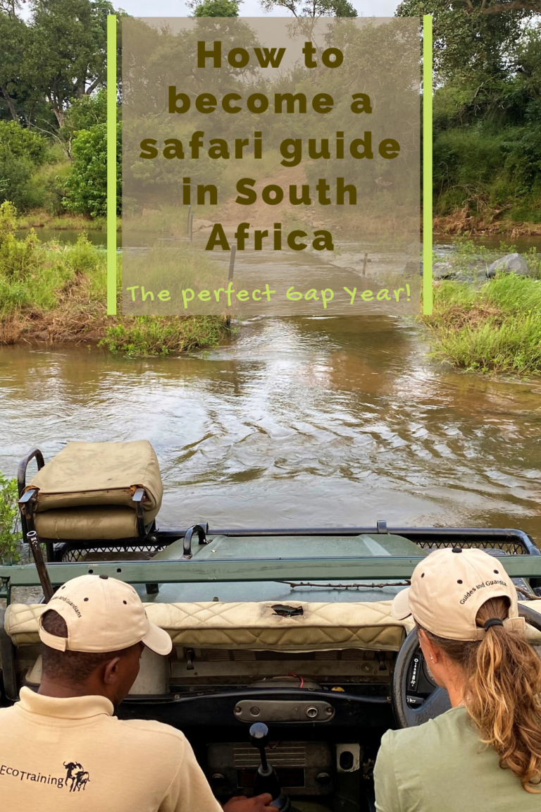 In the tracks of wildlife in Africa – Best regards from far,