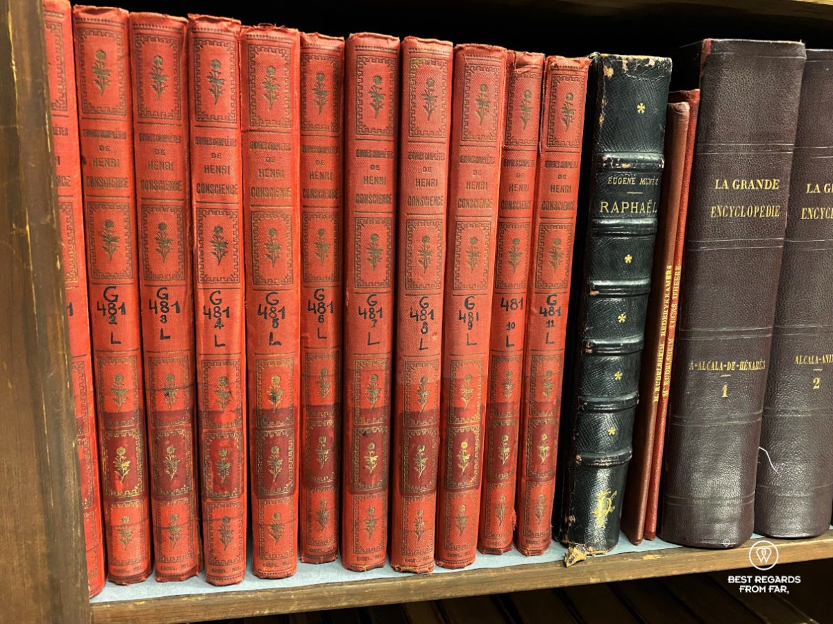 Antwerp: A Must for Book Lovers! – Best regards from far,