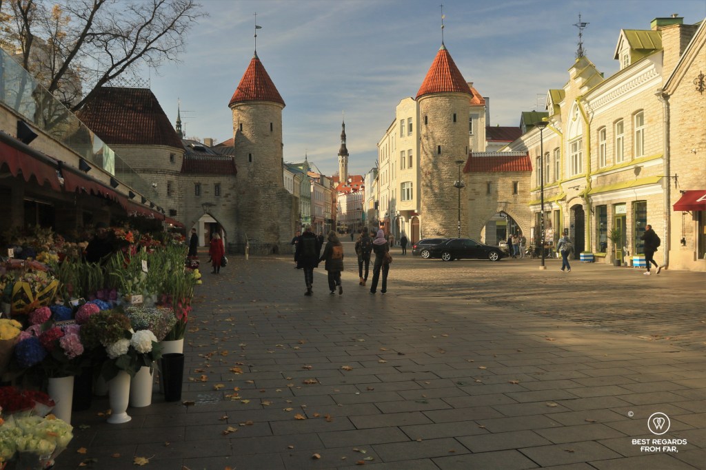 12 fun & interesting facts you did not know about Tallinn – Best ...