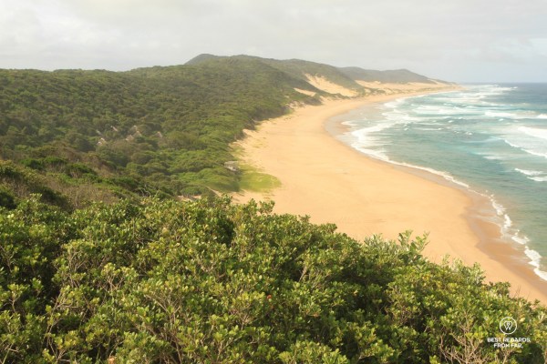 Face to face with endangered nesting turtles, a luxurious beach retreat ...