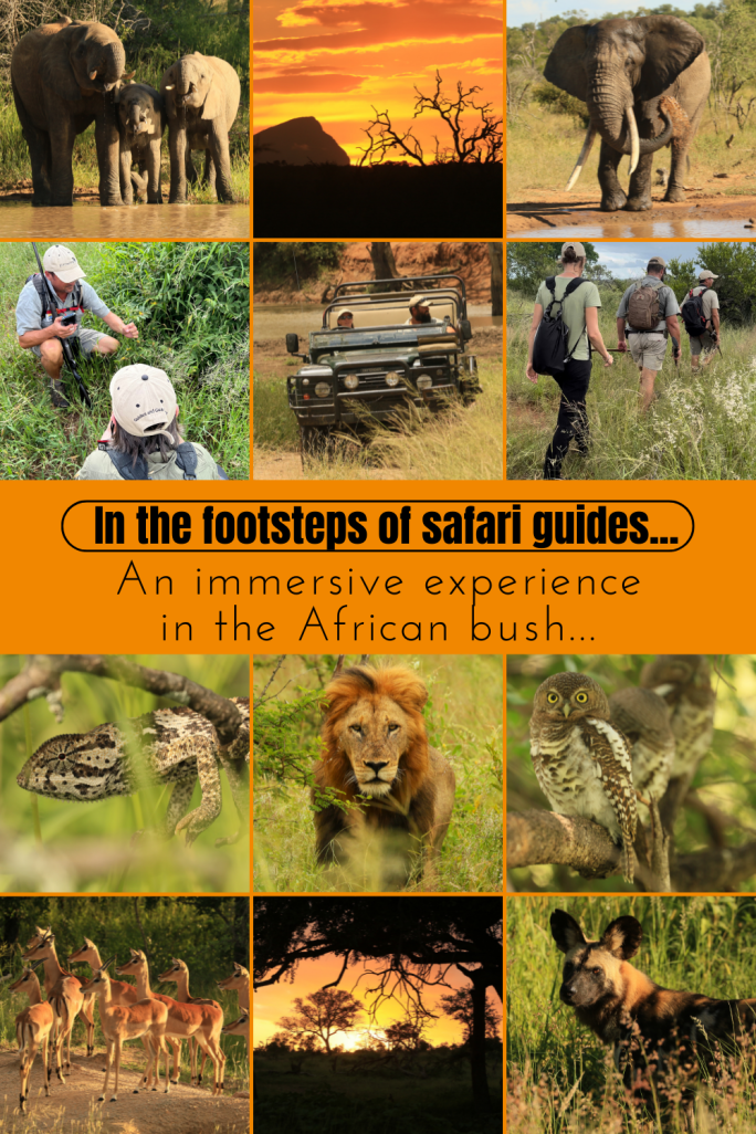 In the footsteps of safari guides in the African bush – Best regards ...