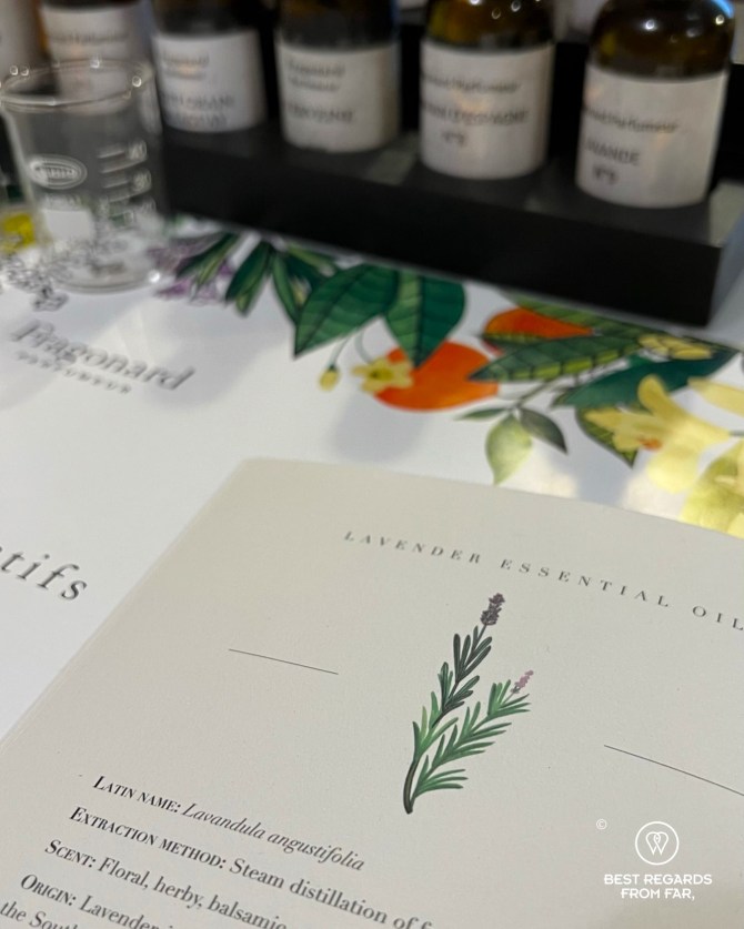 Become a Perfumer for a Day! – Best regards from far,