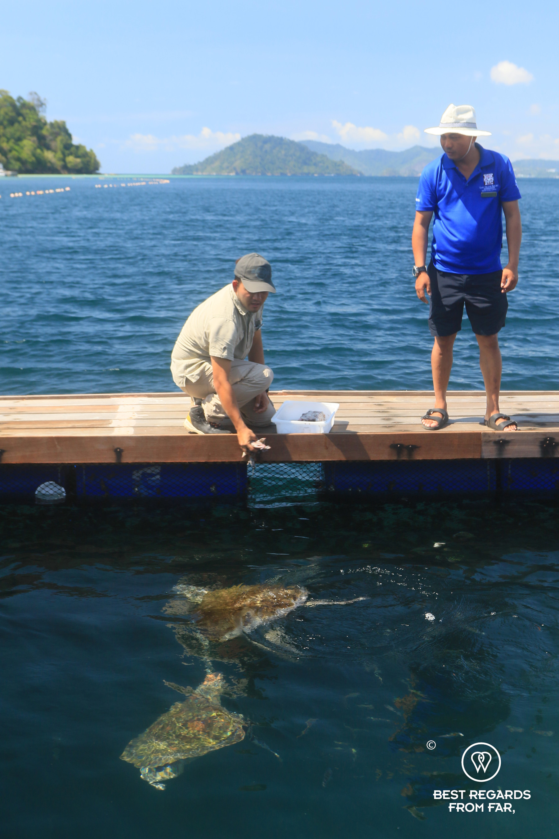 8 top experiences from rainforest to coral gardens on Gaya Island ...