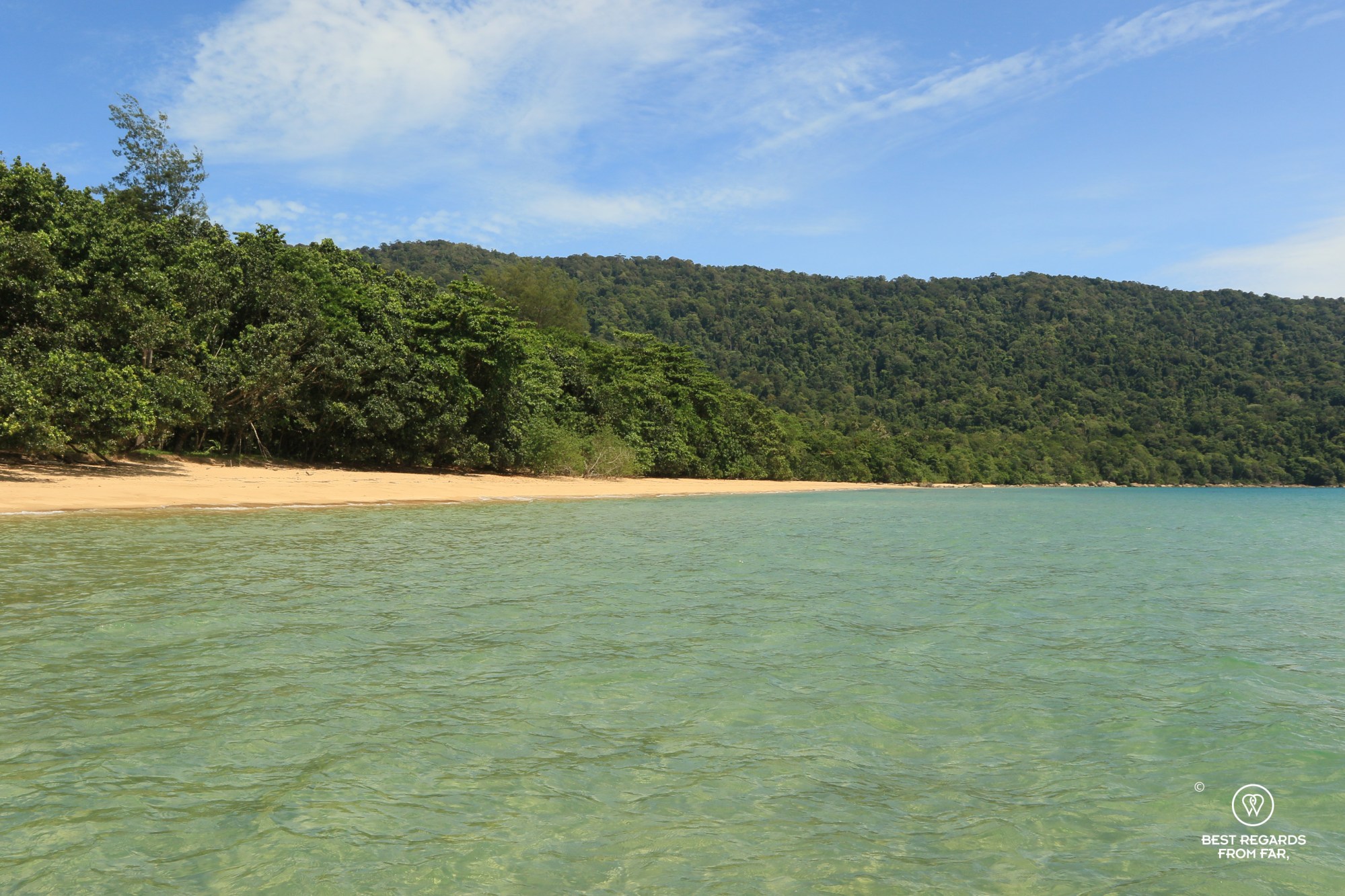 Eye to eye with Borneo’s most endangered primates in Tanjung Datu ...