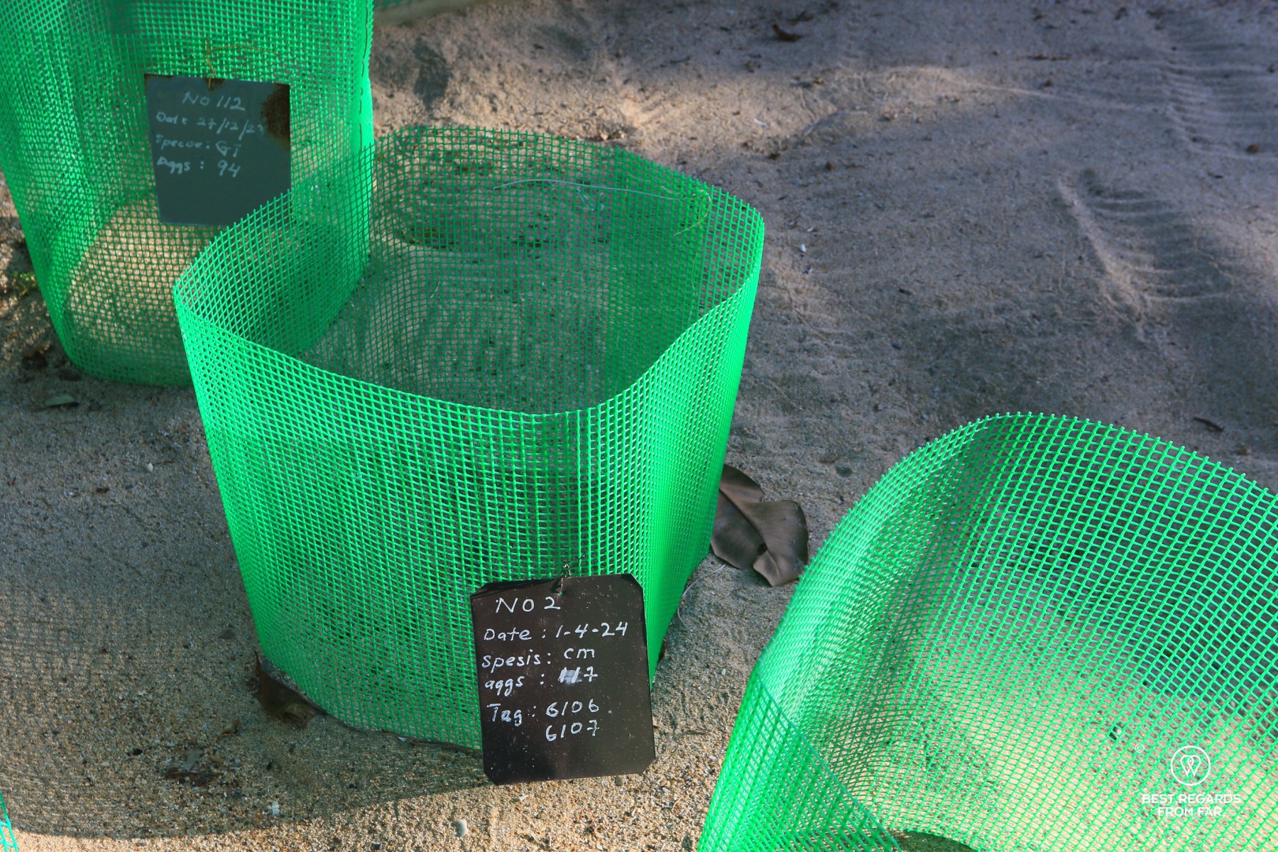 Eye to eye with Borneo’s most endangered primates in Tanjung Datu ...