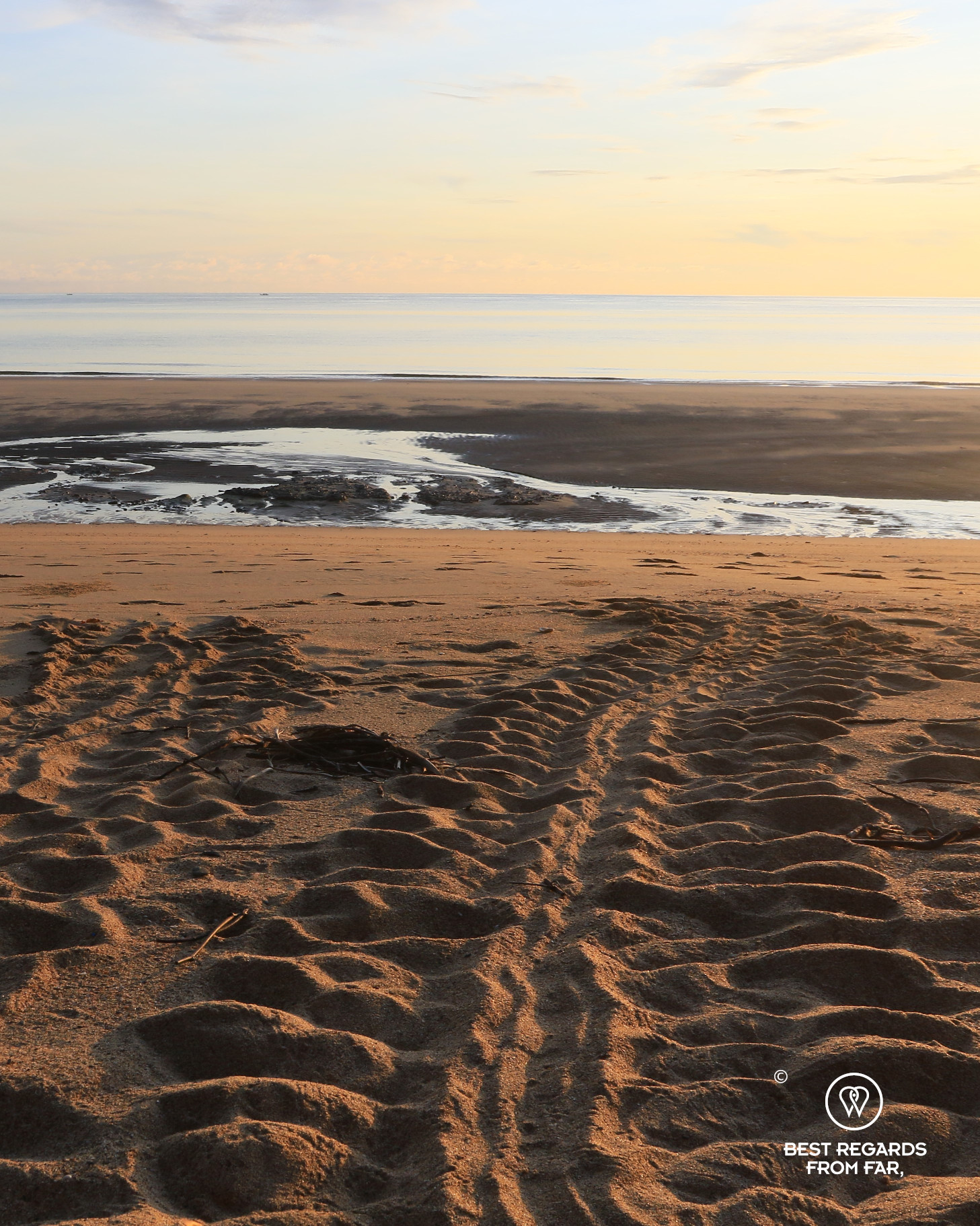 Eye to eye with Borneo’s most endangered primates in Tanjung Datu ...
