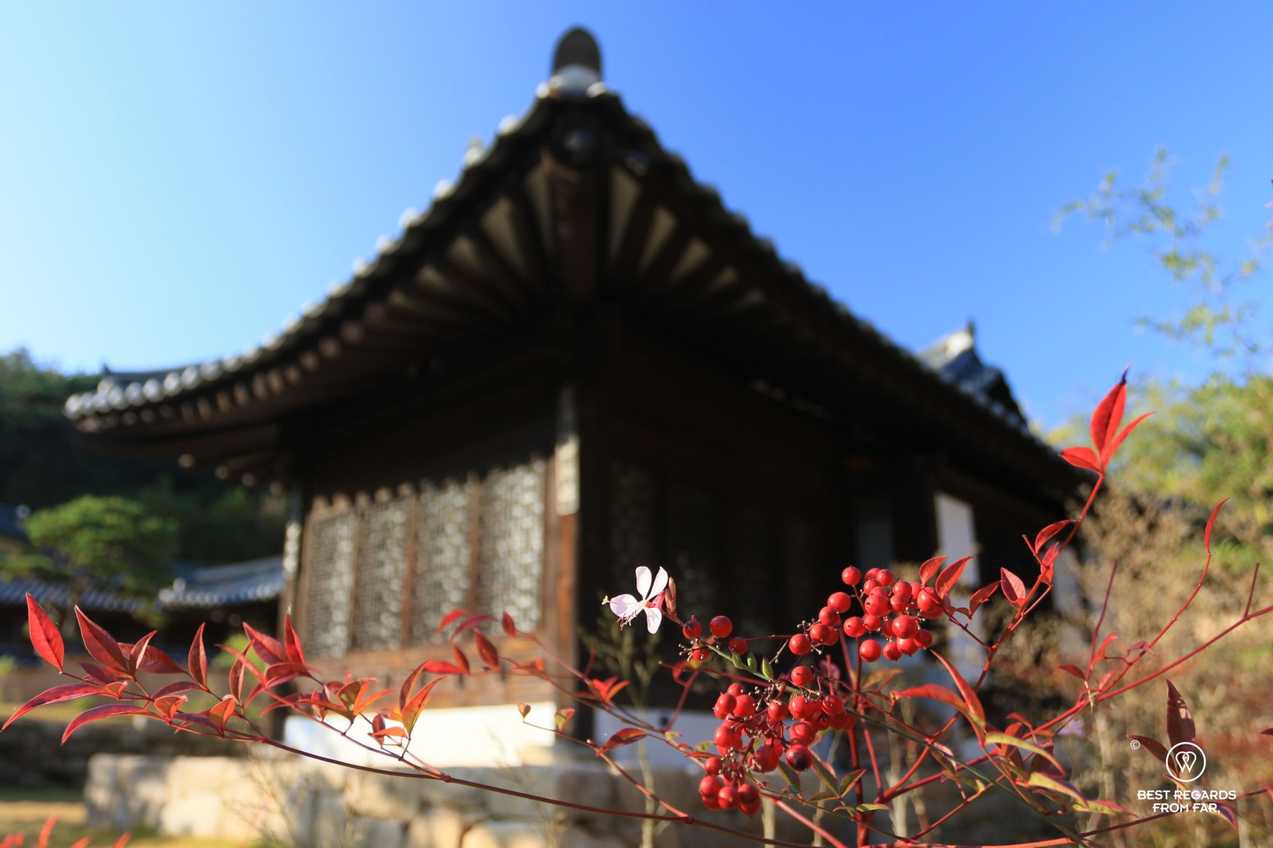 Step Back in Time: Stay in a Magical Hanok Hotel in Korea’s Best UNESCO ...