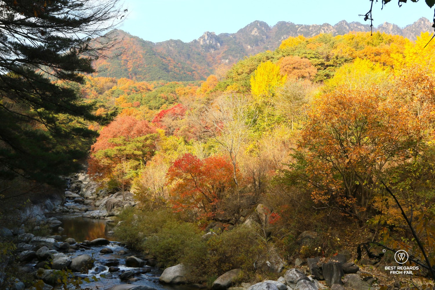 Between Mountains & Scriptures, Korea’s Favorite Temple [Haeinsa ...