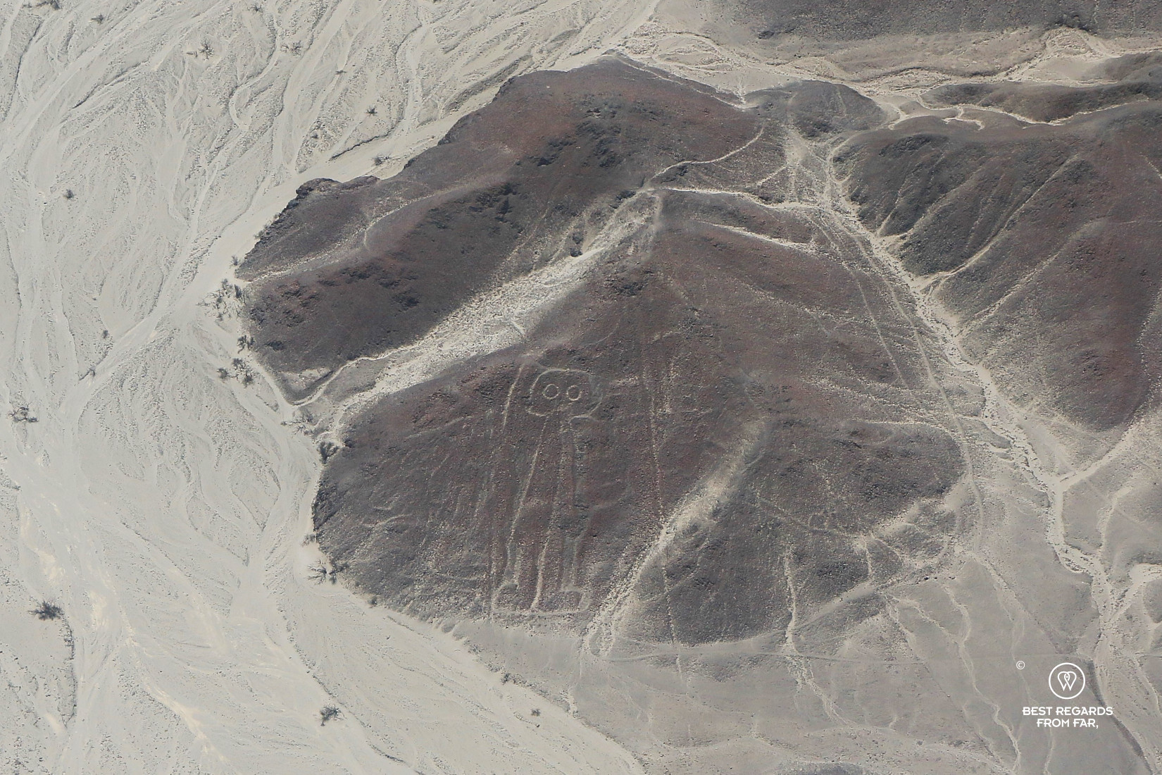 Flying Over the Nazca Lines: Peru’s Most Enigmatic Archaeological Site ...