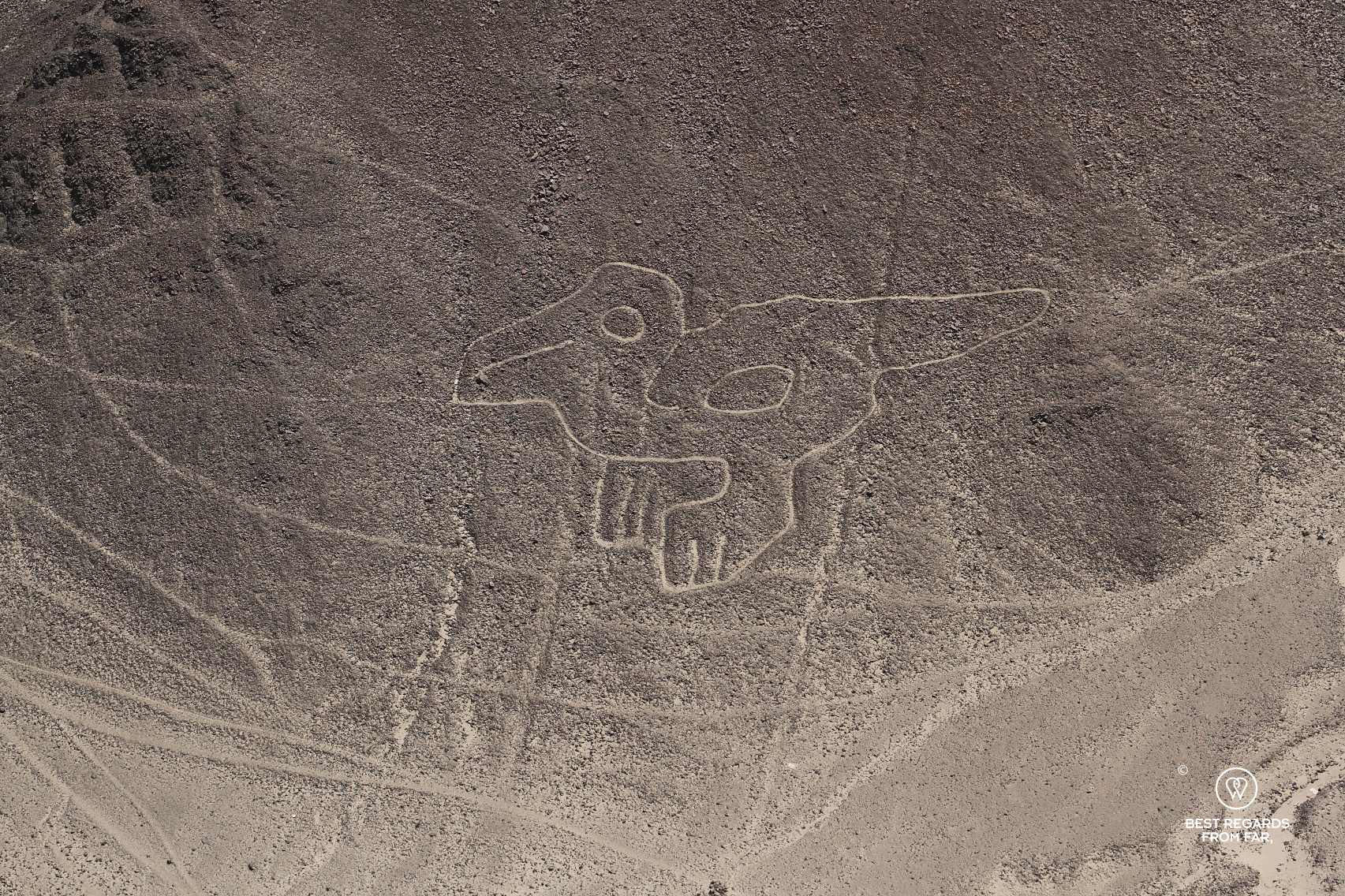Flying Over the Nazca Lines: Peru’s Most Enigmatic Archaeological Site ...