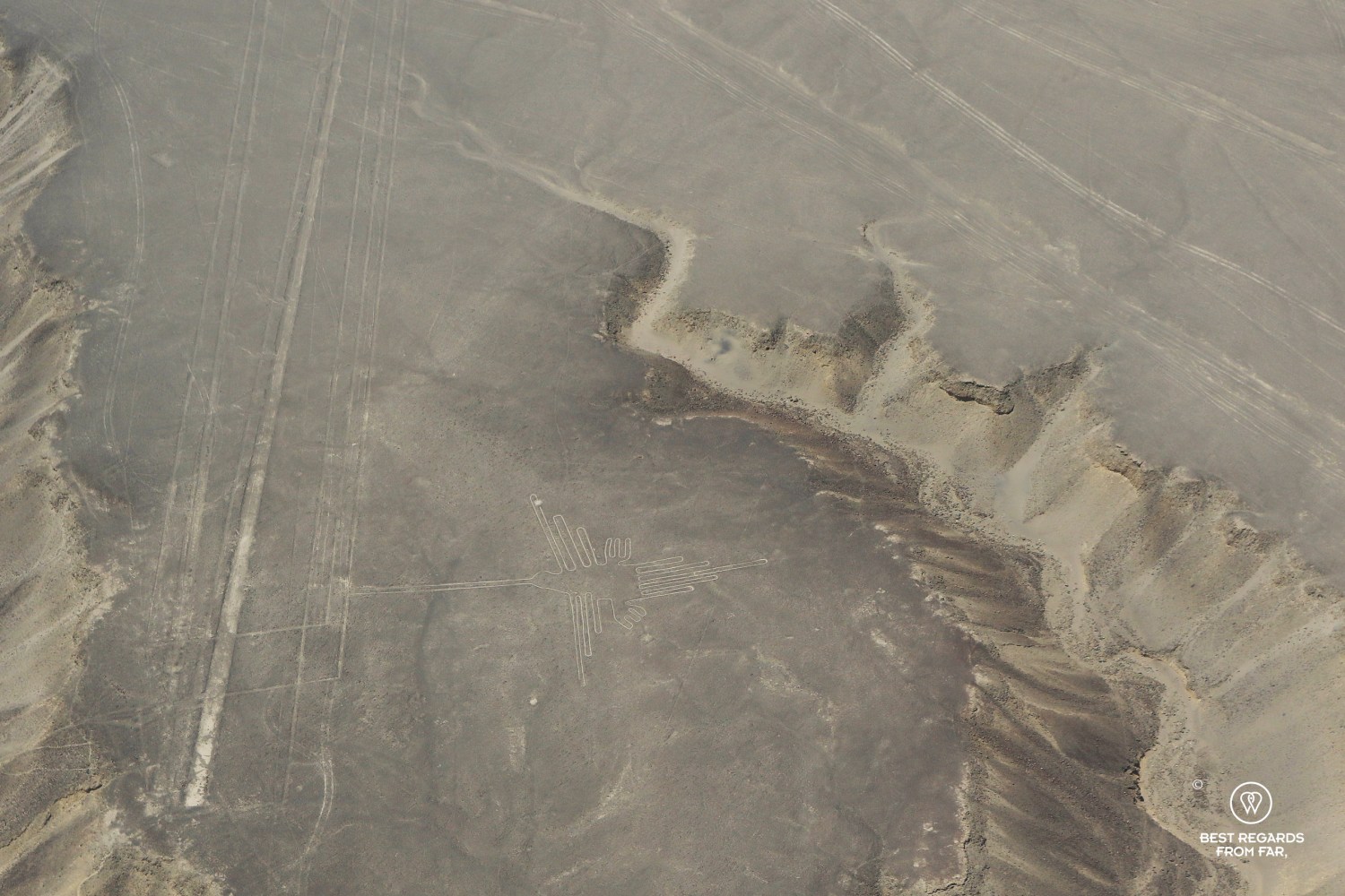Flying Over the Nazca Lines: Peru’s Most Enigmatic Archaeological Site ...