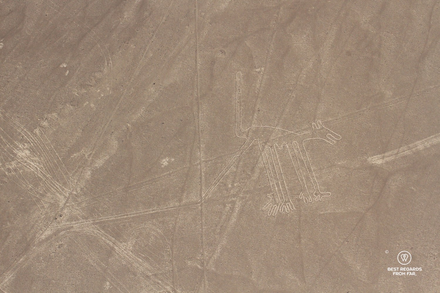 Flying Over the Nazca Lines: Peru’s Most Enigmatic Archaeological Site ...