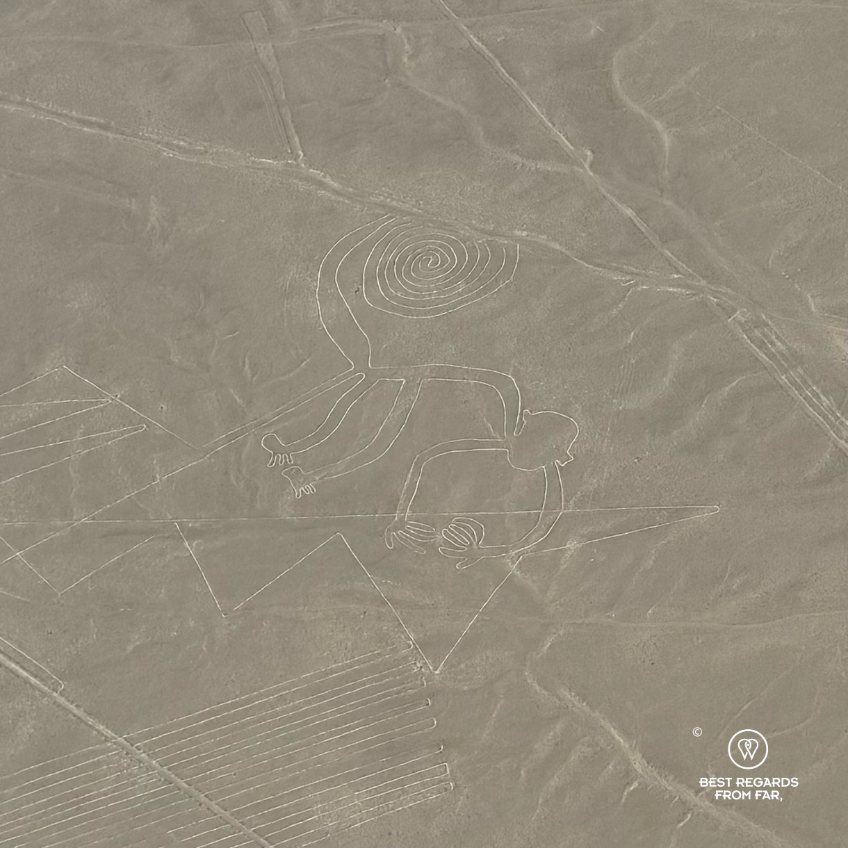 Flying Over the Nazca Lines: Peru’s Most Enigmatic Archaeological Site ...