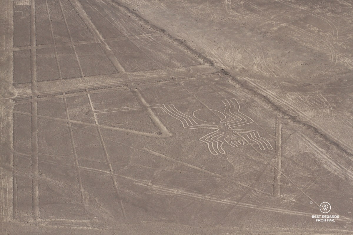 Flying Over the Nazca Lines: Peru’s Most Enigmatic Archaeological Site ...