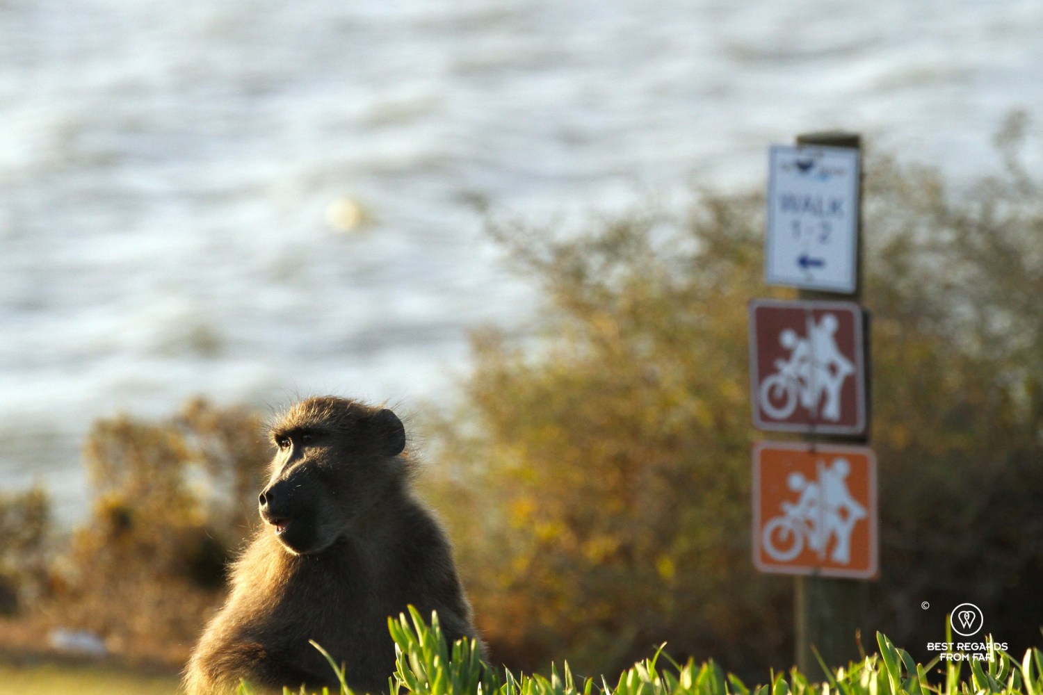 De Hoop: A Historical Haven of Nature, Wildlife and Adventure – Best ...