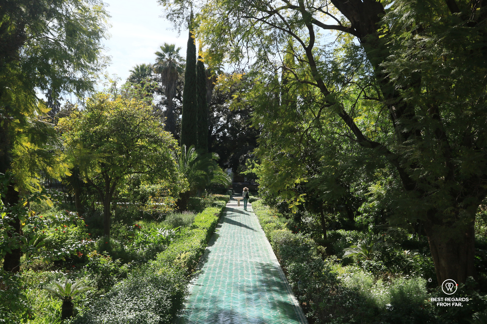 Fez in 13 fun & interesting facts! – Best regards from far,