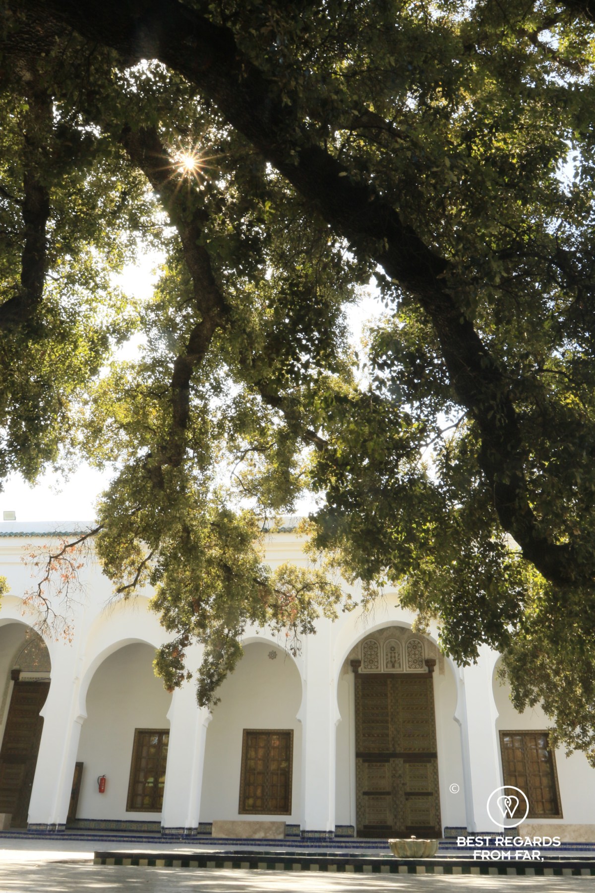 Fez in 13 fun & interesting facts! – Best regards from far,