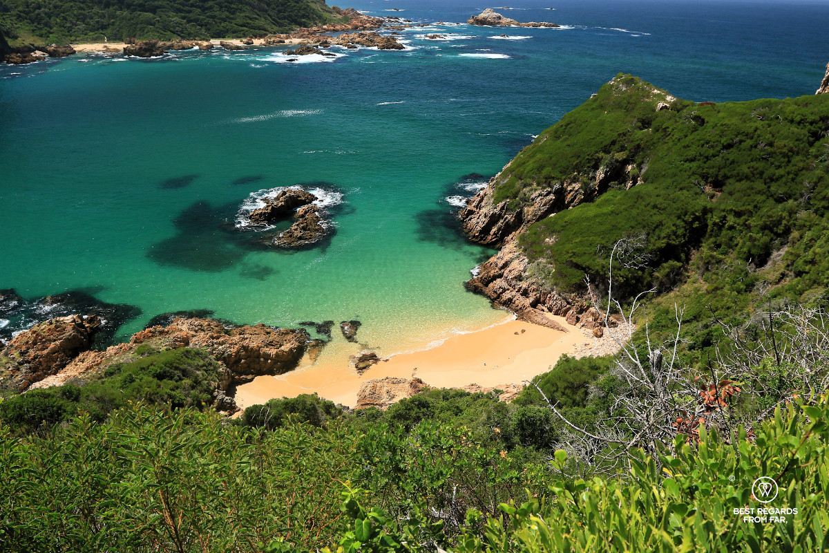 3 Perfect Days in Knysna: South Africa’s Garden Route Gem – Best ...