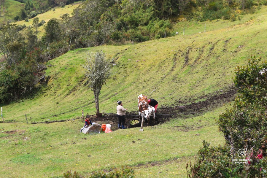 10 Fun & Interesting Facts about Colombia’s Capital: Bogotá – Best ...